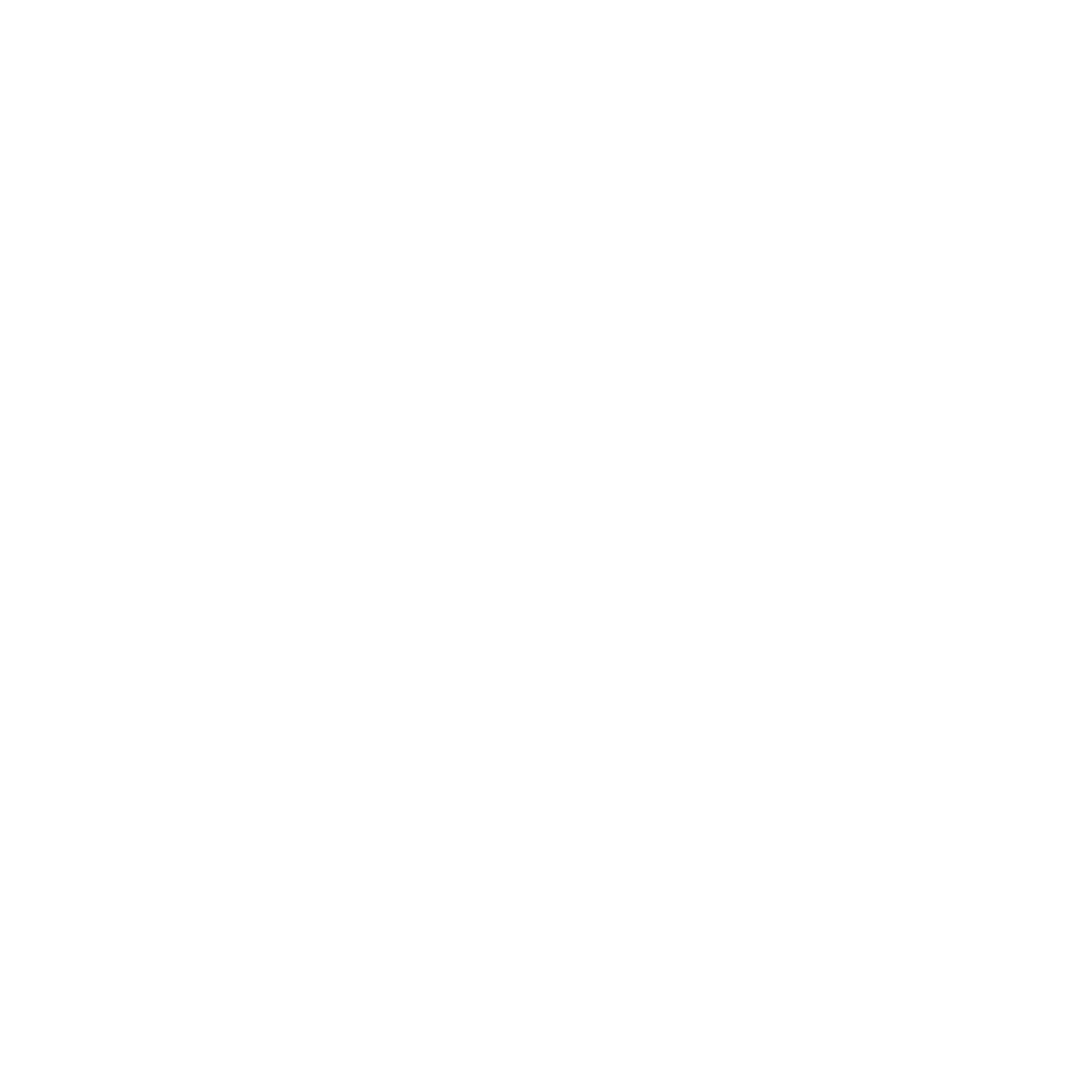 Boost Mobile
